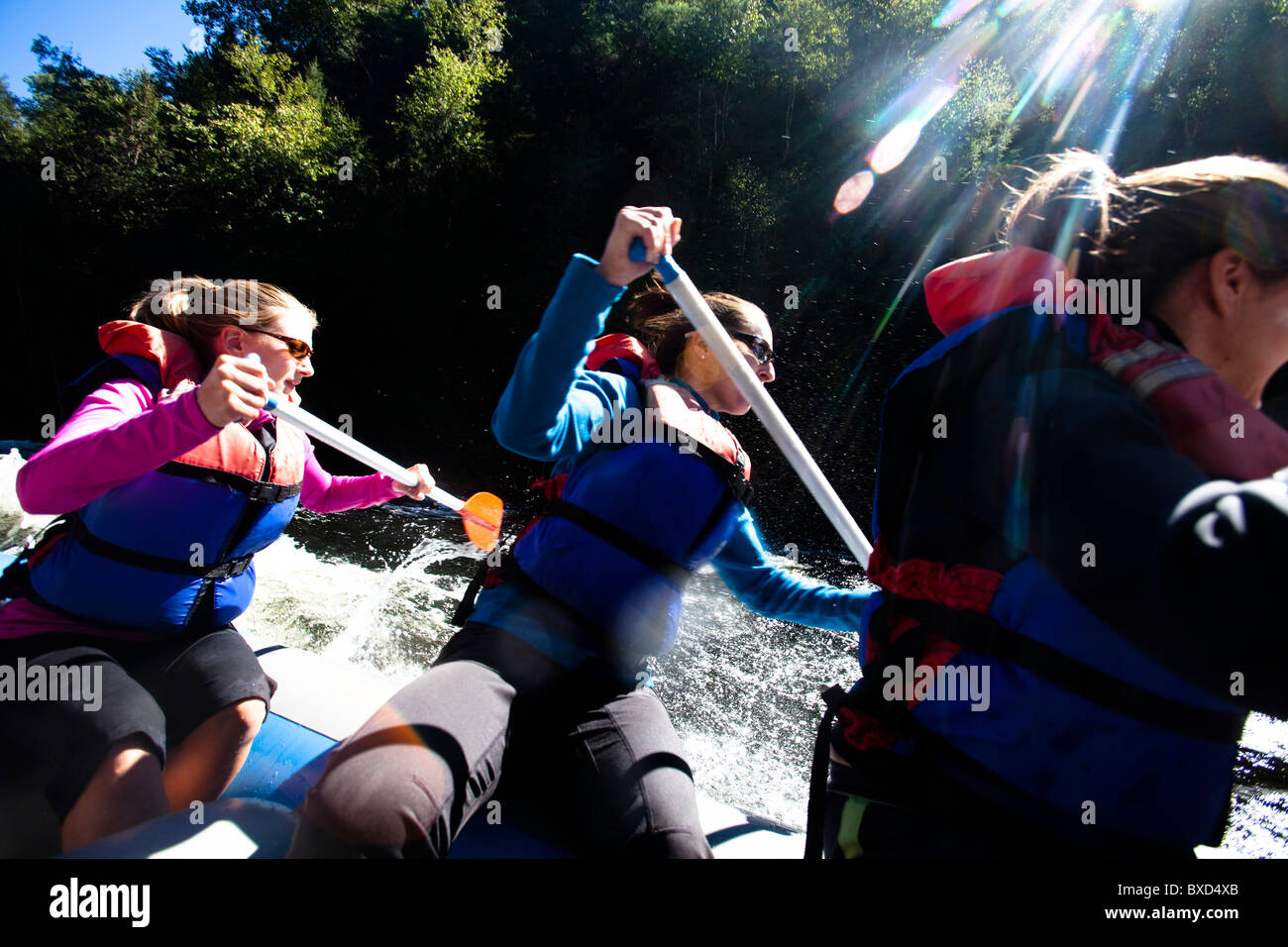 A group of adults whitewater rafting in Maine Stock Photo - Alamy