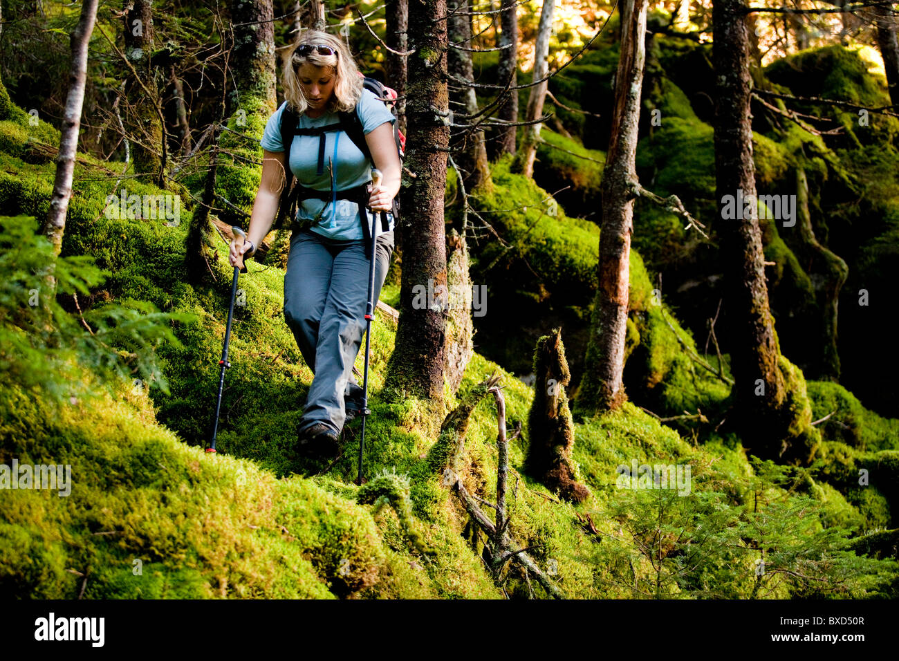 Franconia notch recreational trail hi-res stock photography and images ...