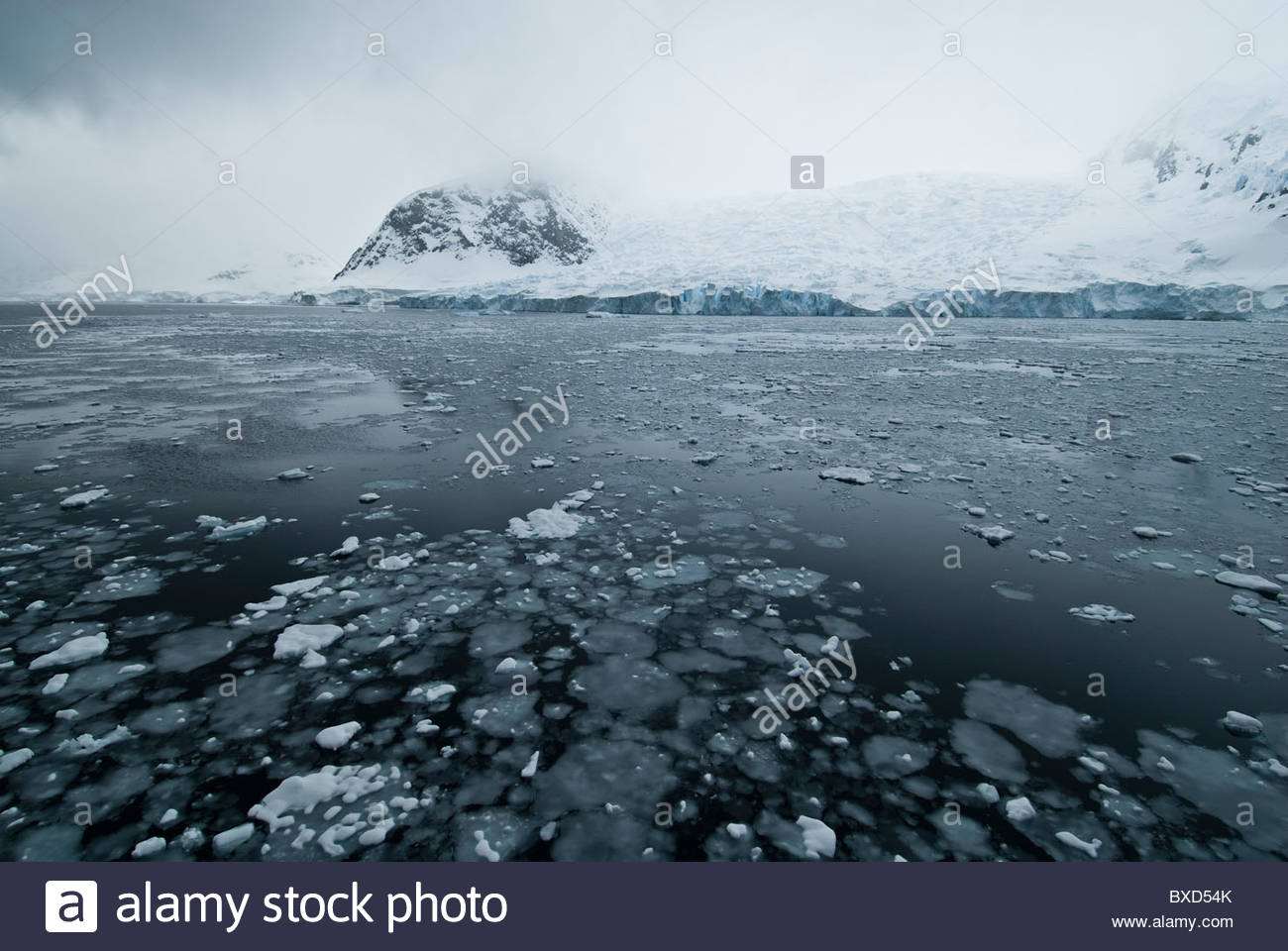 Antarctica Sea Ice High Resolution Stock Photography and Images - Alamy