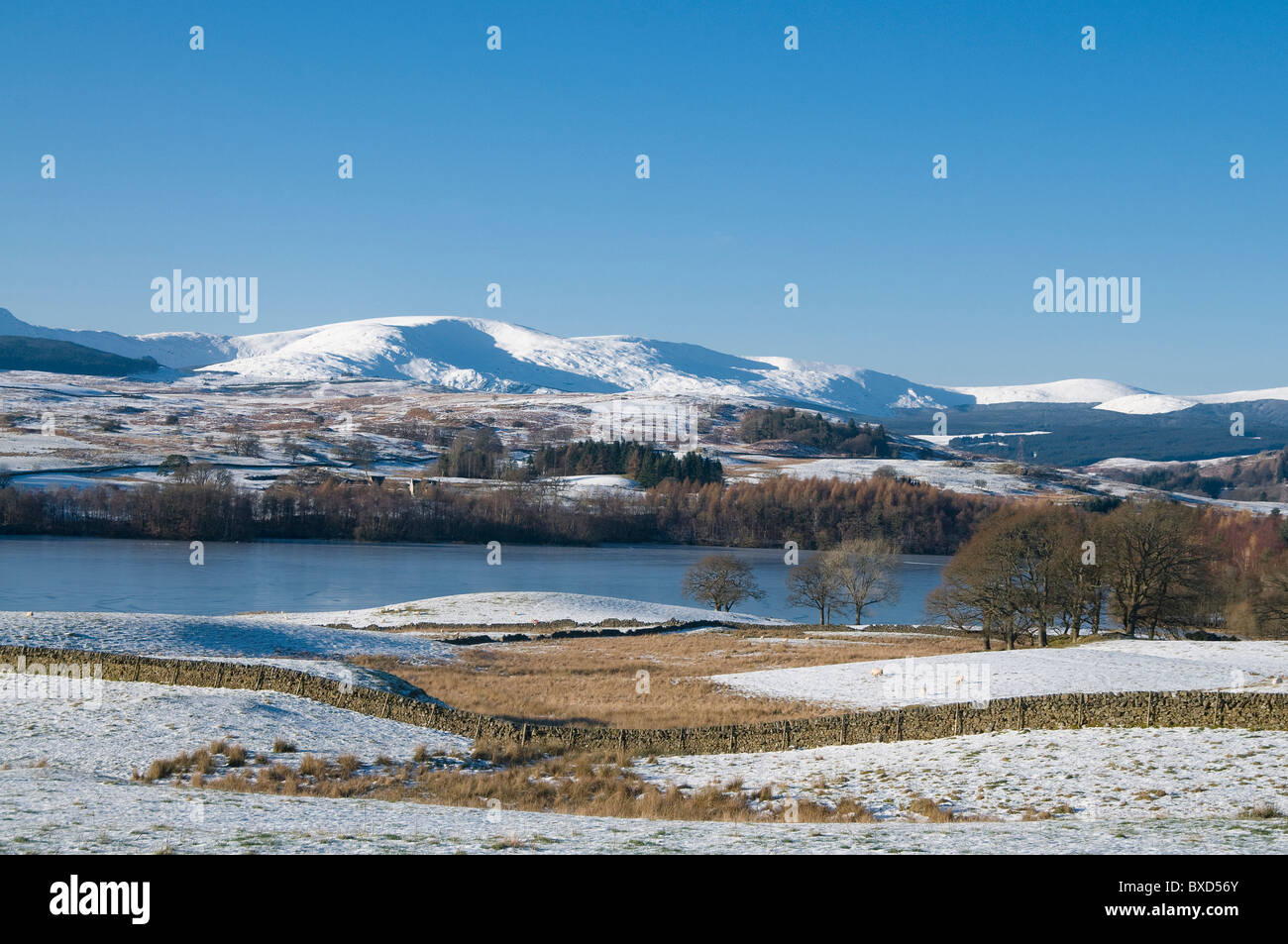 Carsfad reservoir /loch water of ken Galloway Stock Photo - Alamy