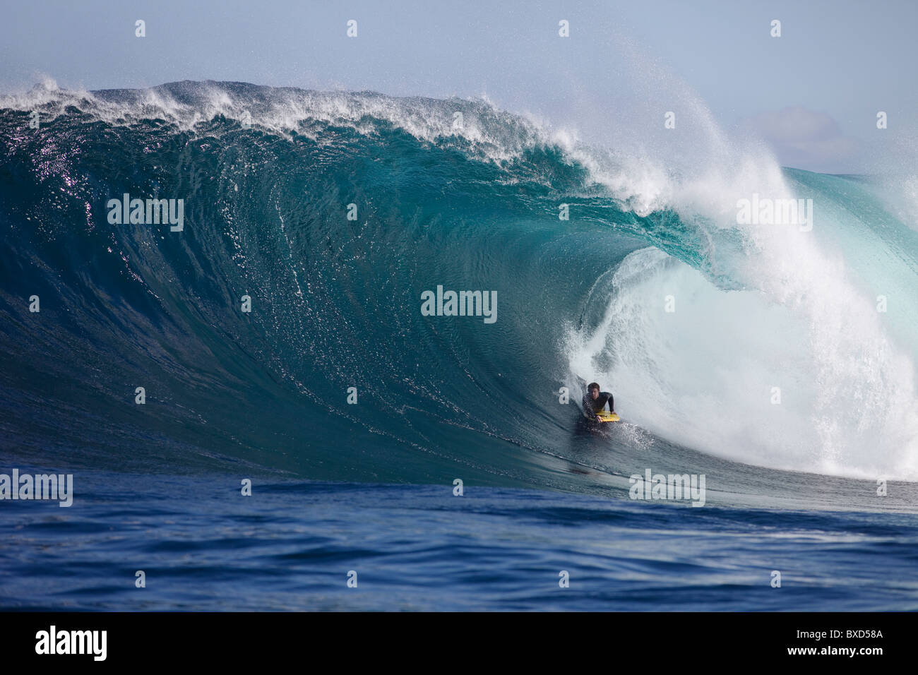 Shipstern’s bluff hi-res stock photography and images - Alamy