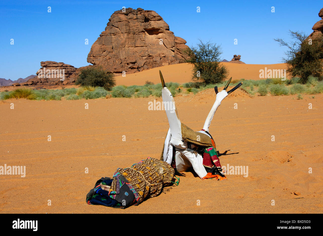 Libya tuareg camel africa desert hi-res stock photography and images ...
