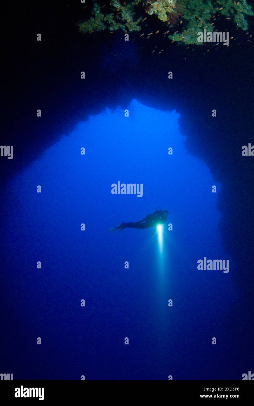 Scuba diver in the blue hole cathedral, Dahab, Egypt, Red Sea Stock ...