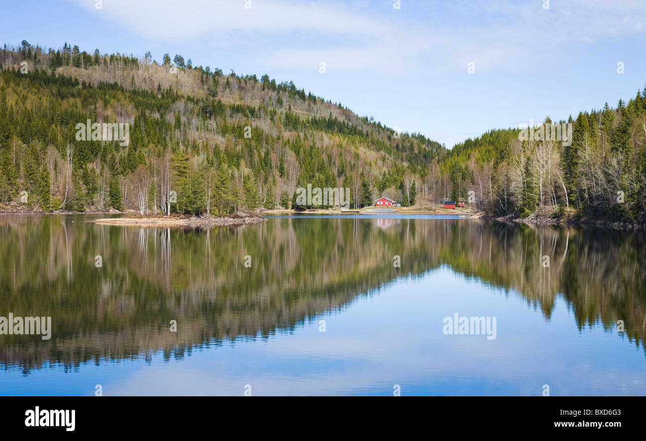 northern spring - forest lake Stock Photo - Alamy