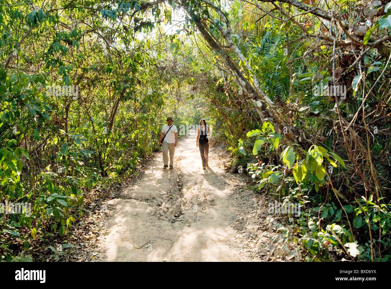 Recent, young, newlyweds enjoy themselves while walking down a path in ...