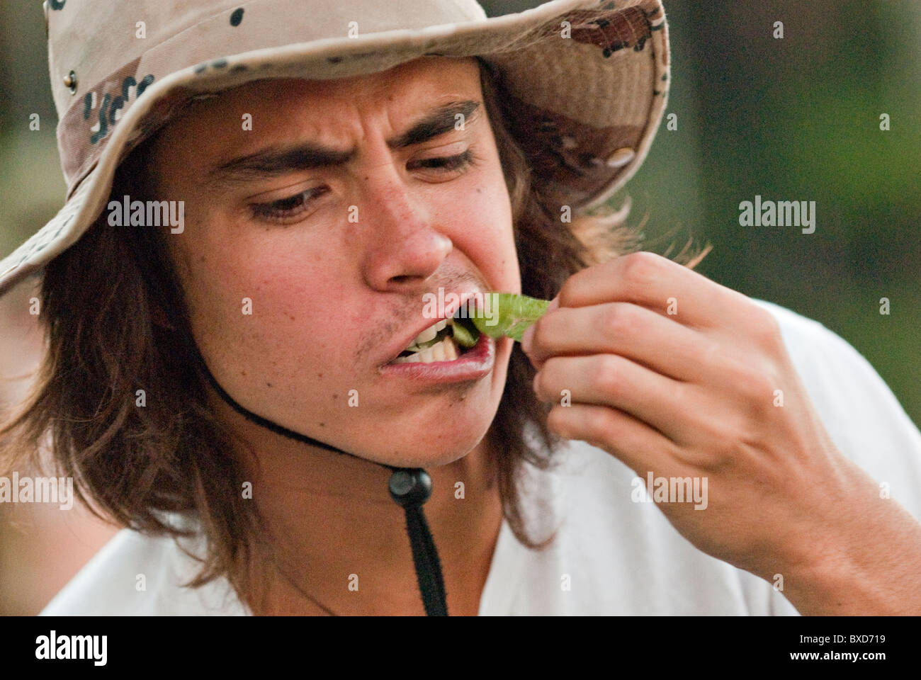 A young man chews on coca leaves, a local tradition in Peru Stock Photo ...
