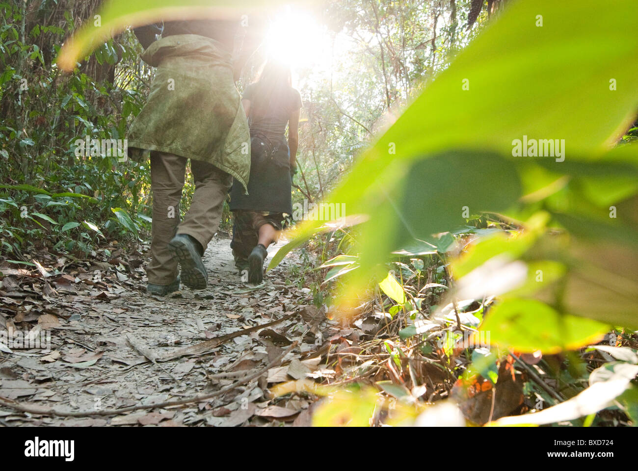 A man and woman walk through the amazon rainforest during the mid ...