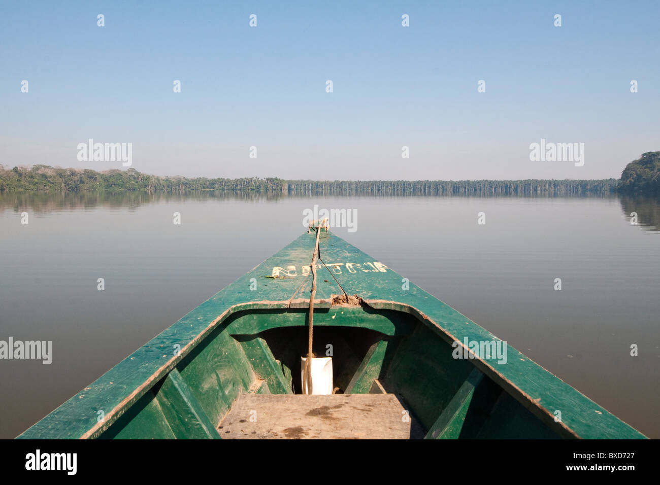A wooden canoe made of Eucalyptus tree floats in the amazon river and ...