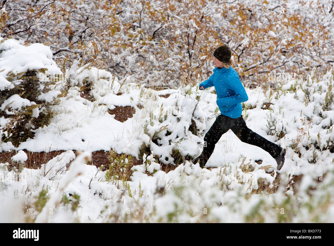 A woman out trail running after a light snowfall Stock Photo - Alamy