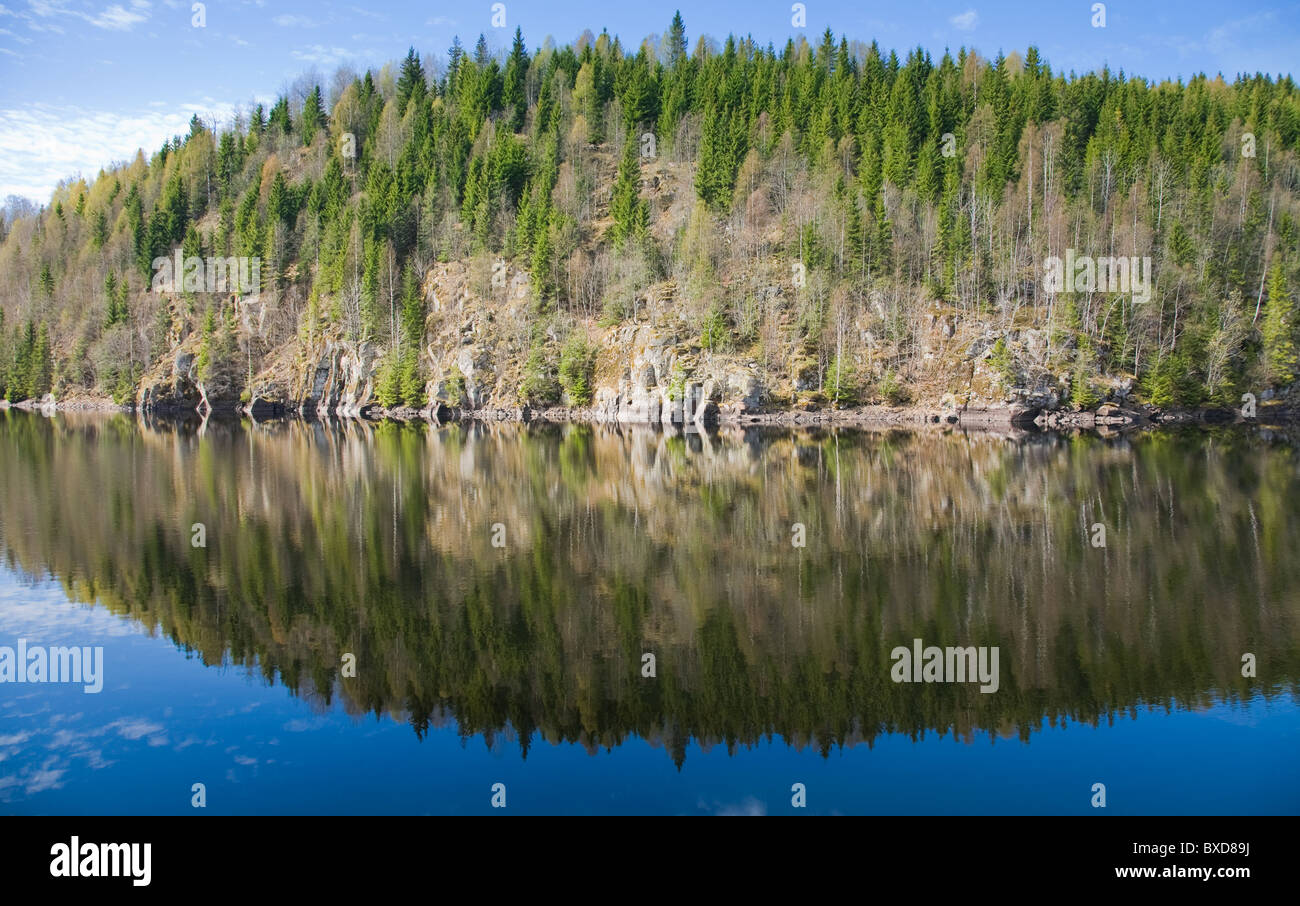northern spring - forest lake Stock Photo - Alamy