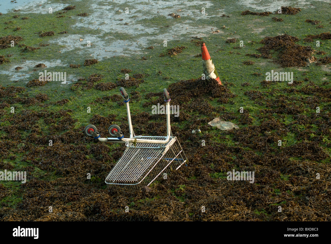 Abandoned shopping trolley in river hi-res stock photography and images ...