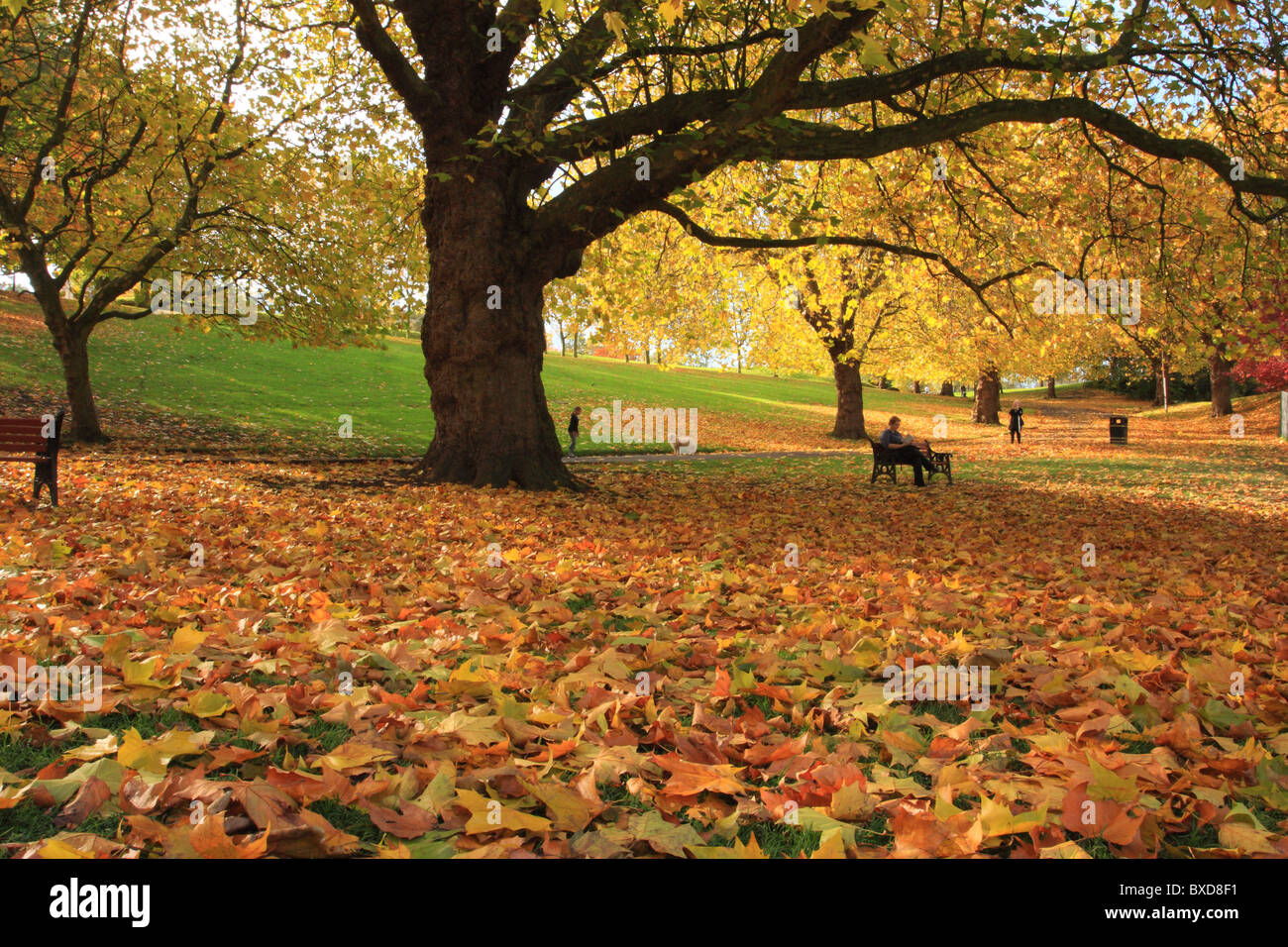 Alexandra park london hi-res stock photography and images - Alamy