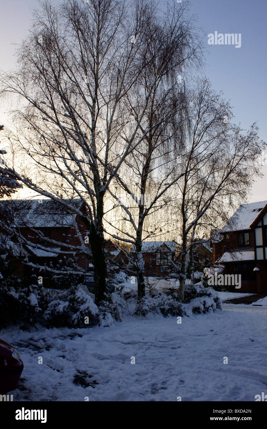 Snowblink hi-res stock photography and images - Alamy