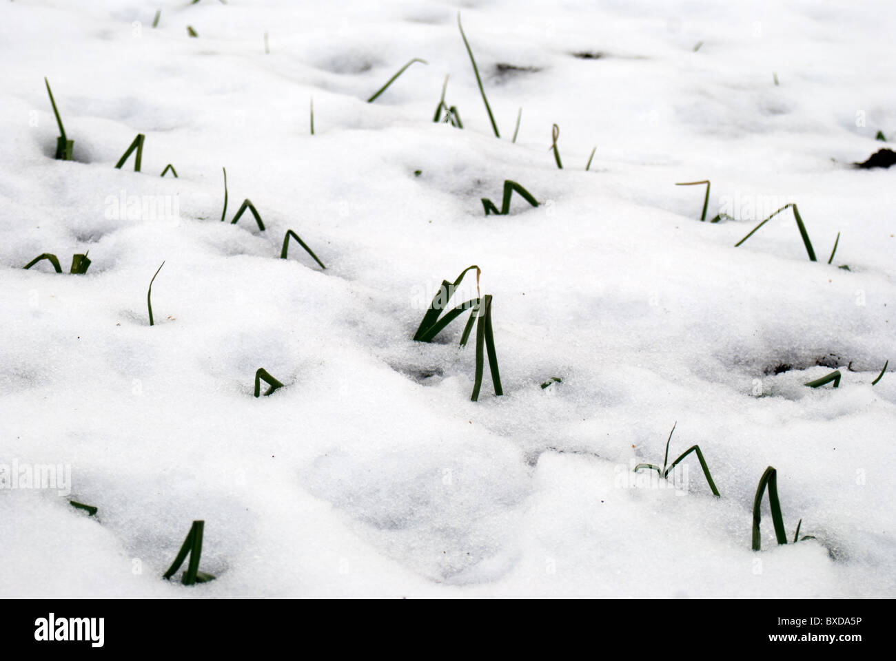 From sets hi-res stock photography and images - Alamy