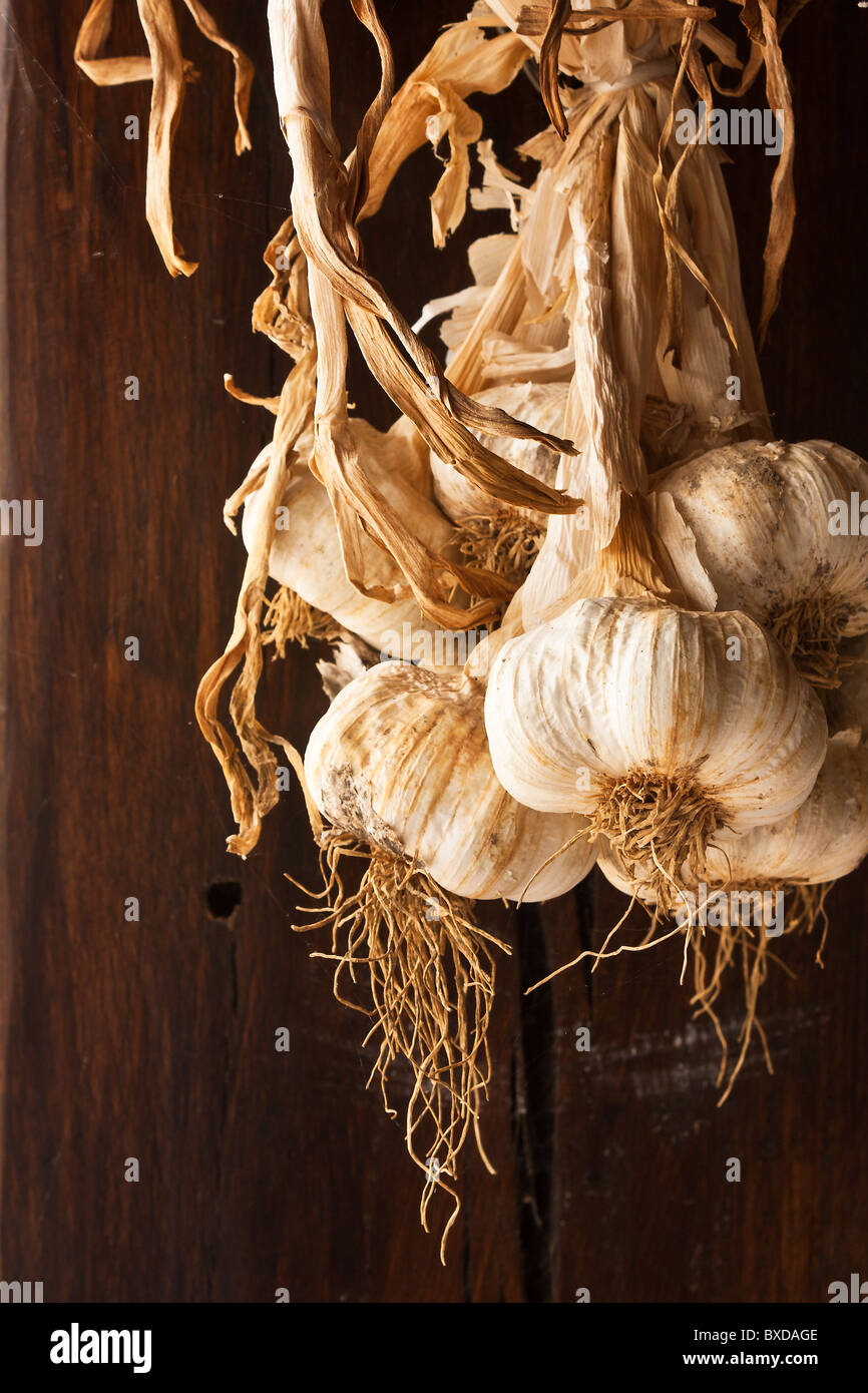 Hanging garlic cloves hi-res stock photography and images - Alamy