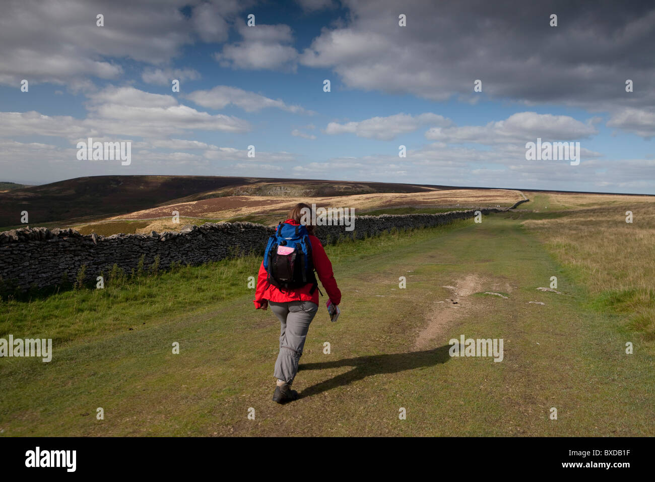 Rambler Walker Cleveland Way North Yorkshire National Trail Stock Photo ...