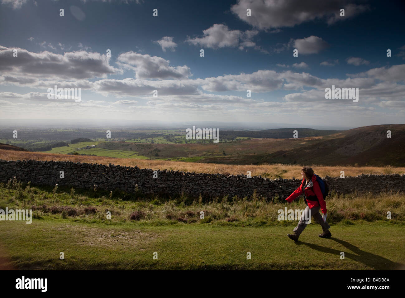 Walker on the Cleveland Way National trail , North Yorkshire Stock ...