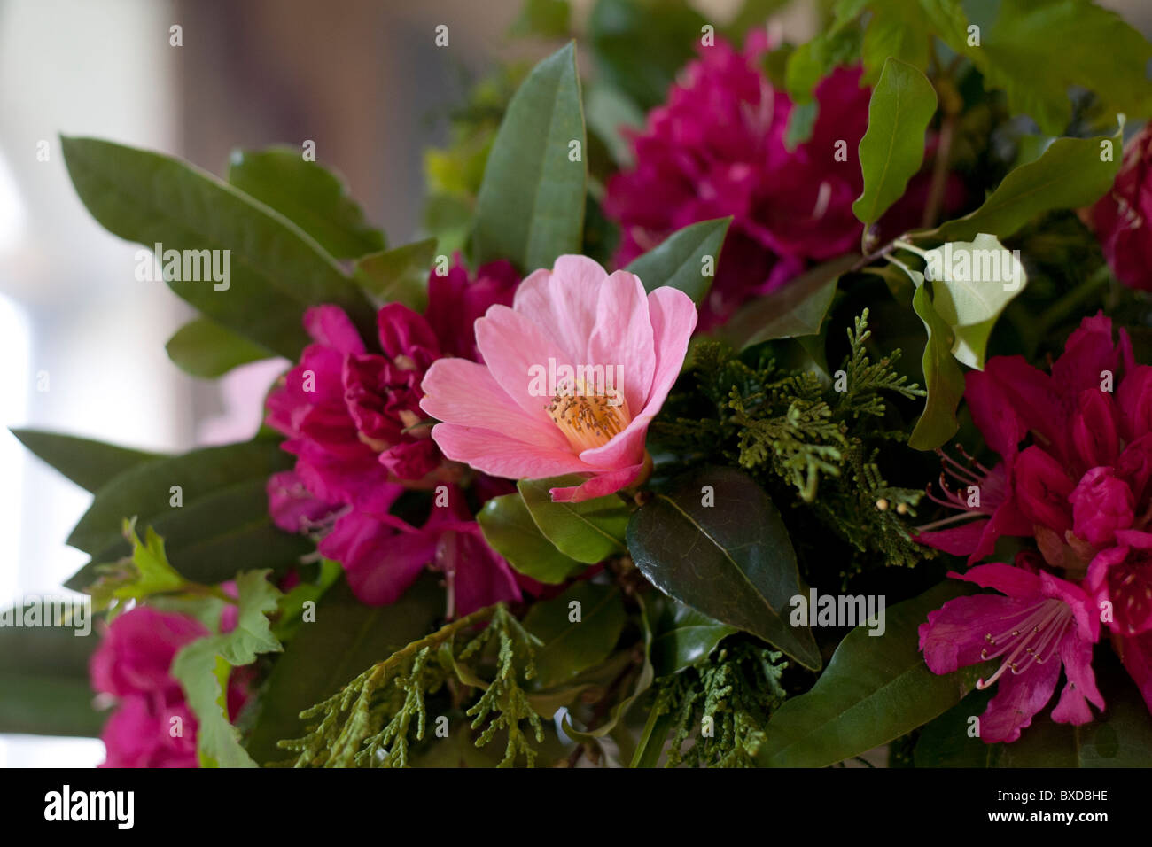 A bouquet of pink and red flowers Stock Photo - Alamy