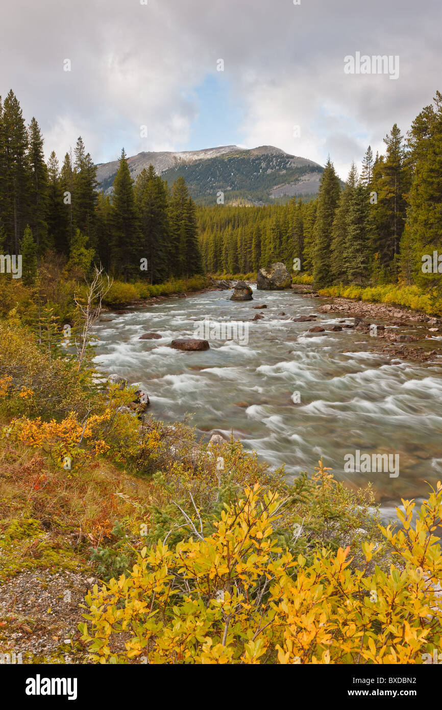 Maligne River, Jasper National Park, Alberta, Canada Stock Photo - Alamy