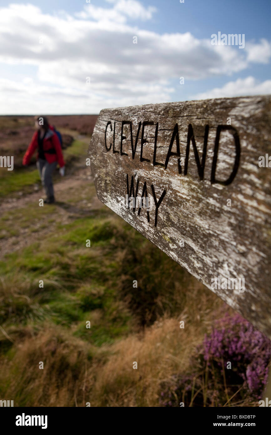The cleveland way walker walking hi-res stock photography and images ...