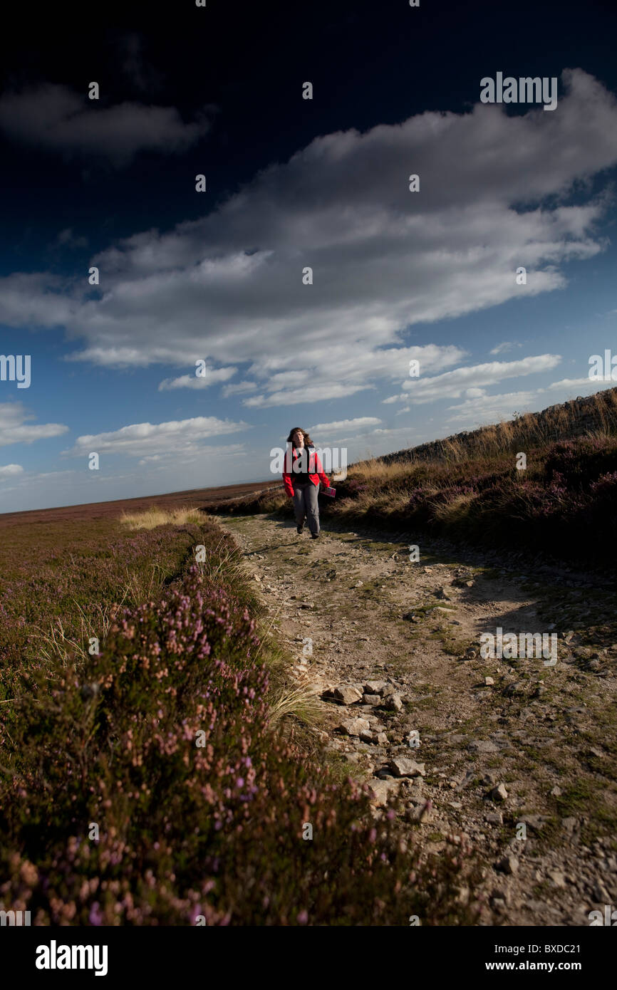 Walker on the Cleveland Way National trail , North Yorkshire Stock ...