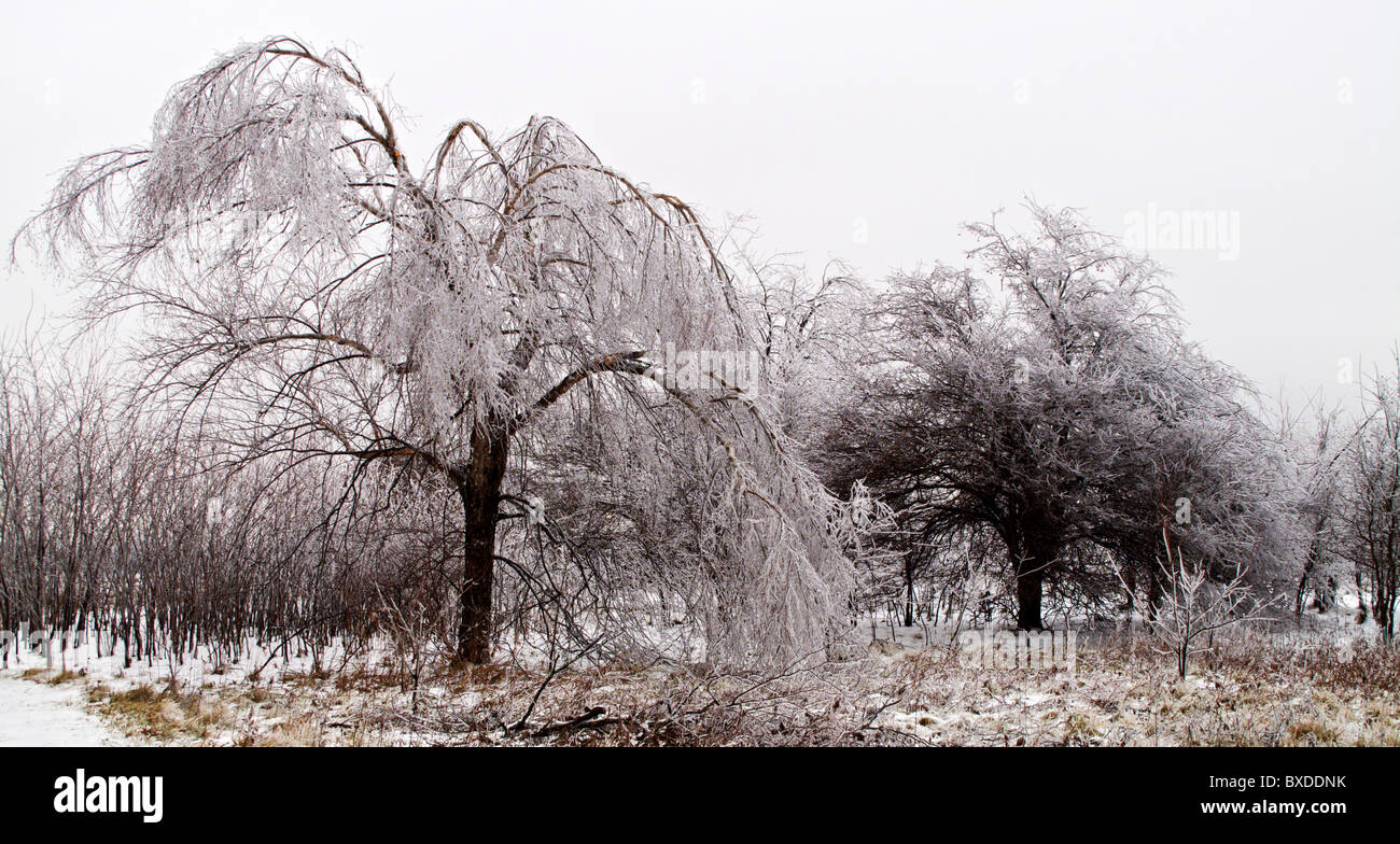 Aftermath of winter storm hi-res stock photography and images - Alamy