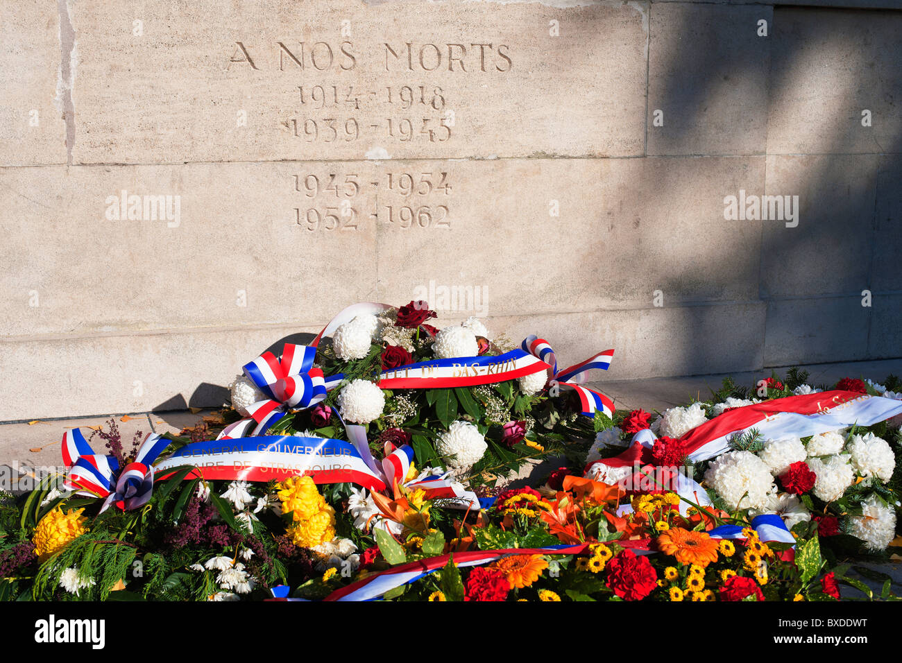 Remembrance day france blue poppy hi-res stock photography and images ...