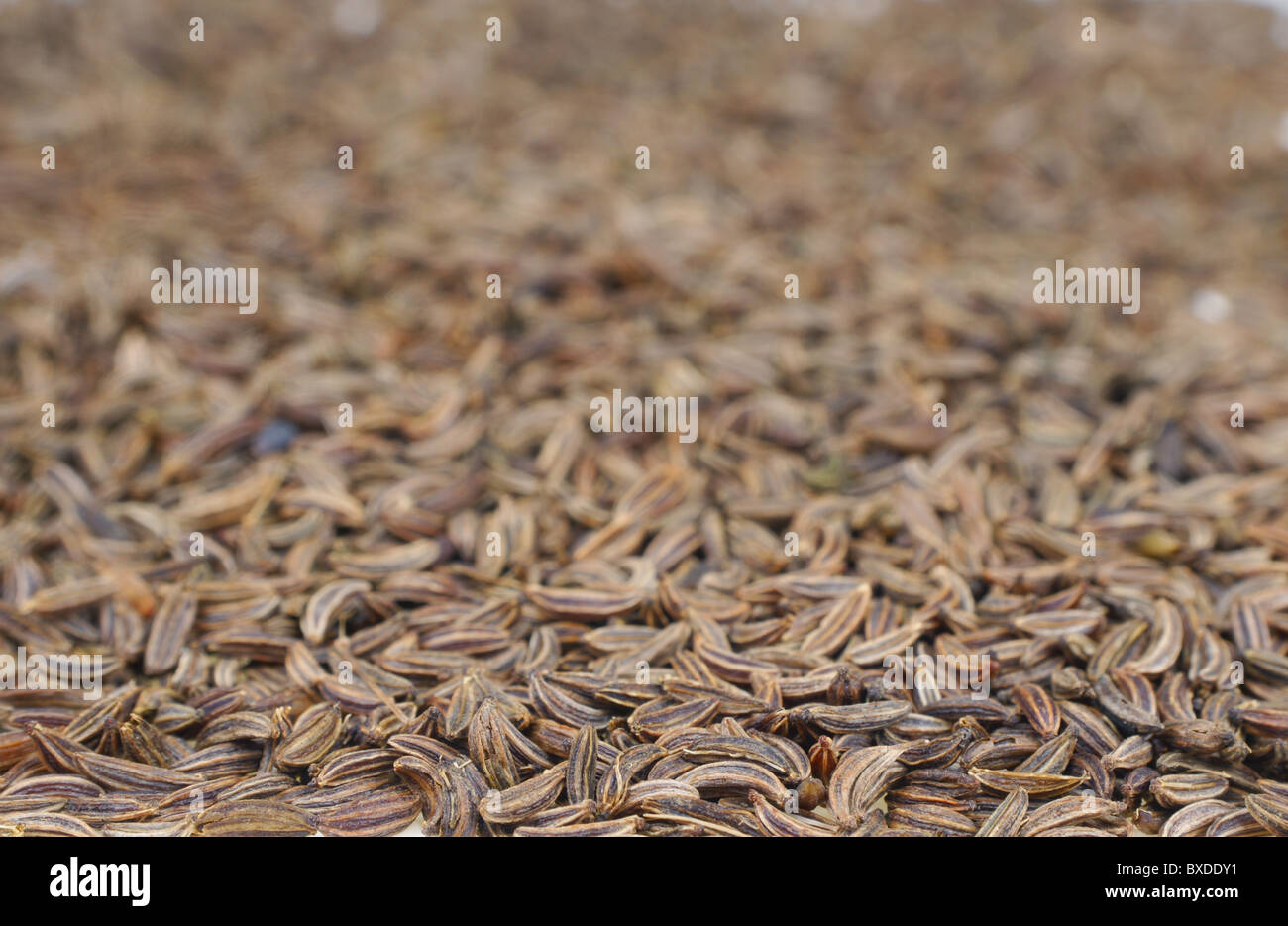 Macro spice hi-res stock photography and images - Alamy