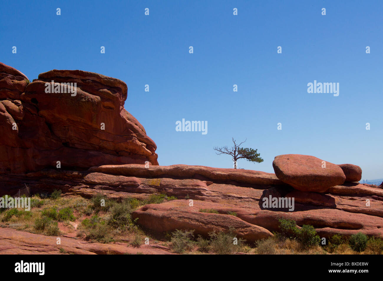Called the red r hi-res stock photography and images - Alamy