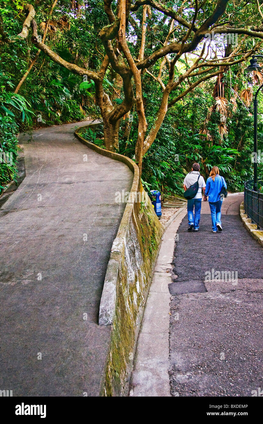 Split path hi-res stock photography and images - Alamy