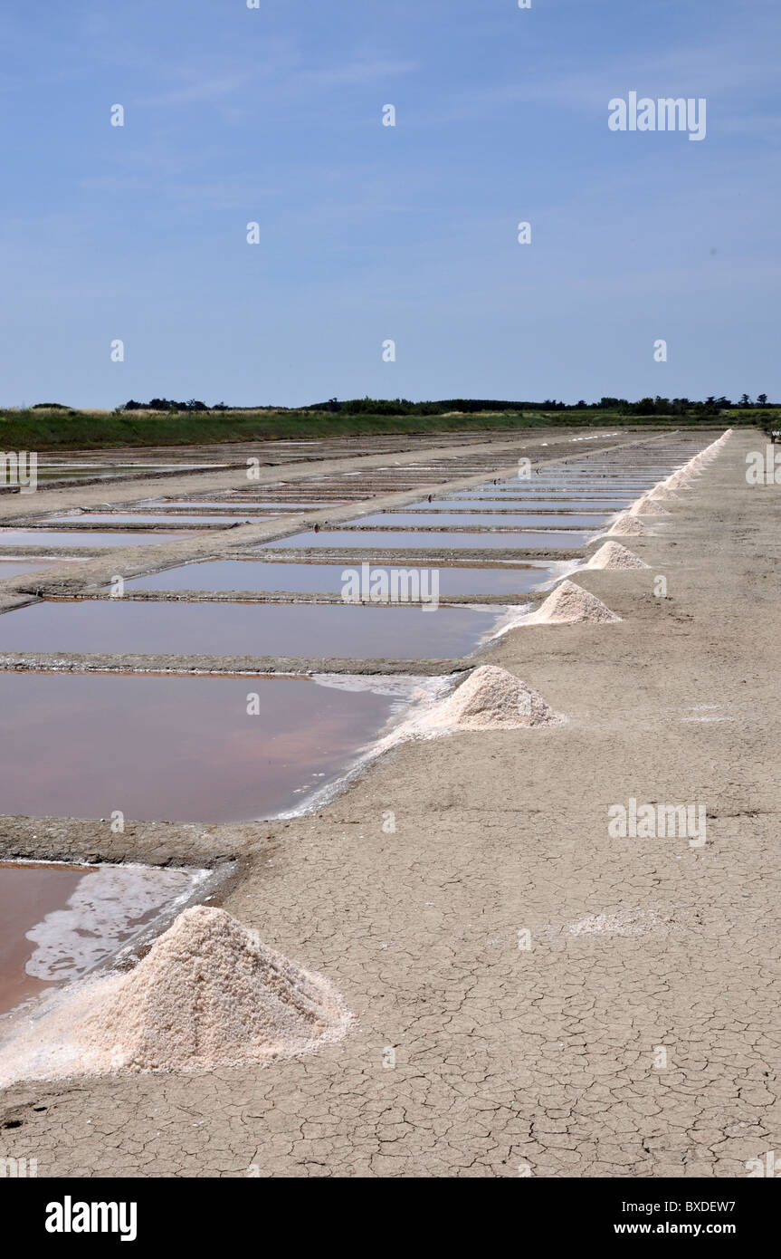 Coastal estuaries hi-res stock photography and images - Alamy