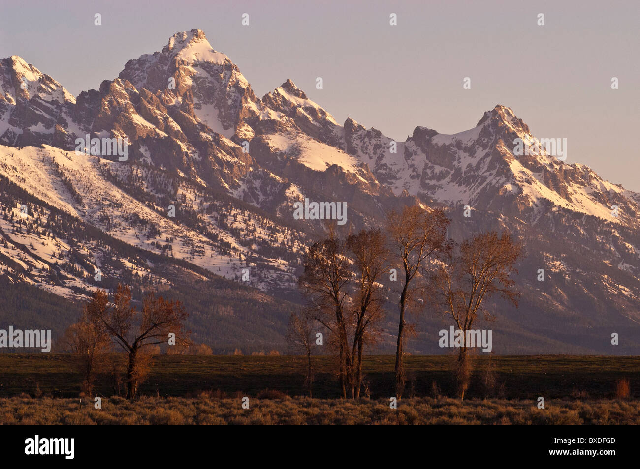 View of the Grand Tetons from the National Elk Refuge near Jackson ...