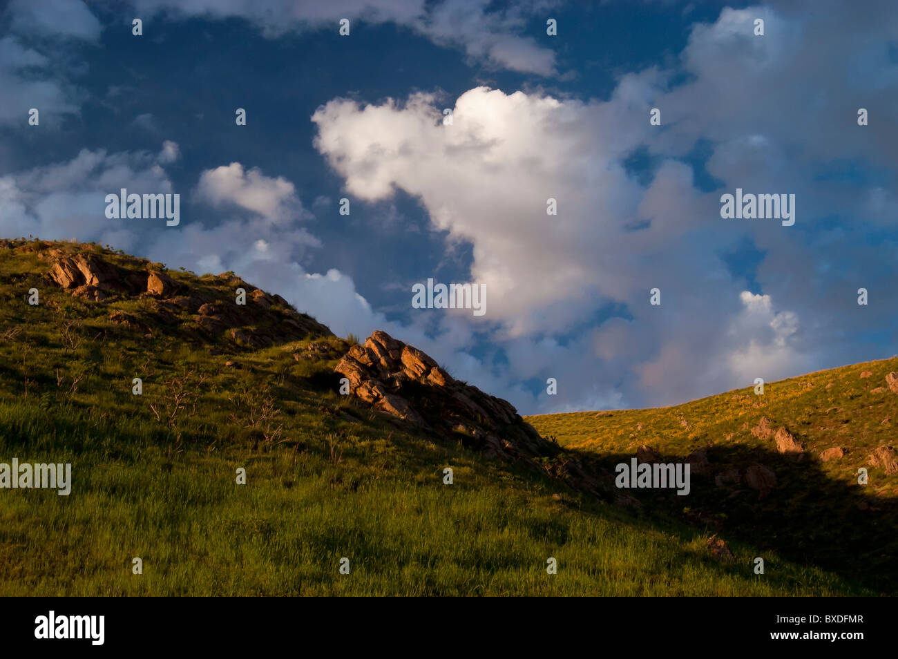 Rolling hills under a cloudy summer sky Stock Photo - Alamy