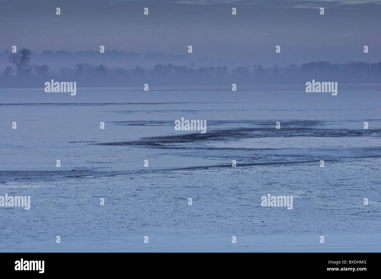 Aqualate hi-res stock photography and images - Alamy