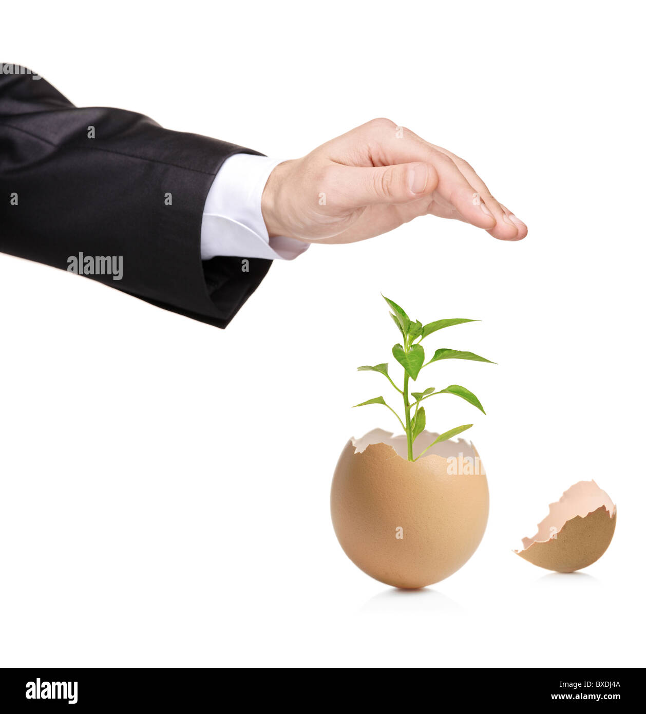 Hand protecting oval hi-res stock photography and images - Alamy