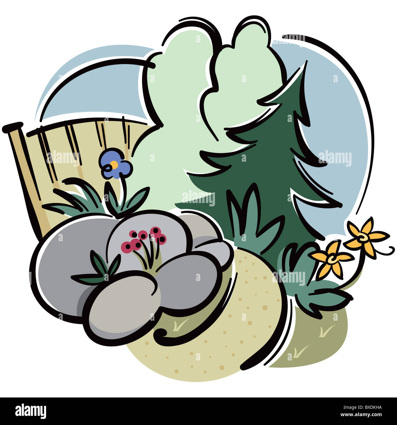 Backyard flower Cut Out Stock Images & Pictures - Alamy