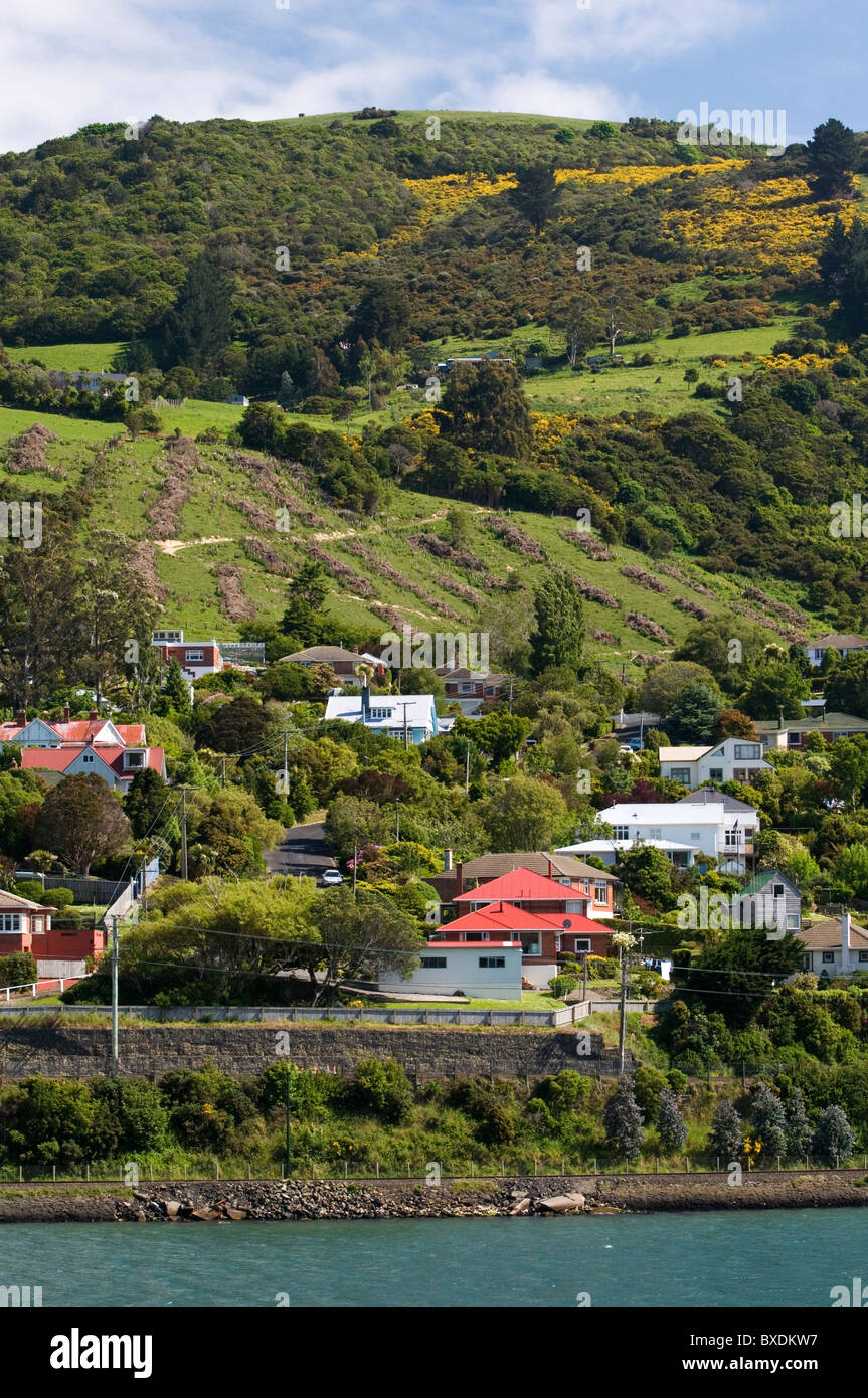 Dunedin harbour hi-res stock photography and images - Alamy
