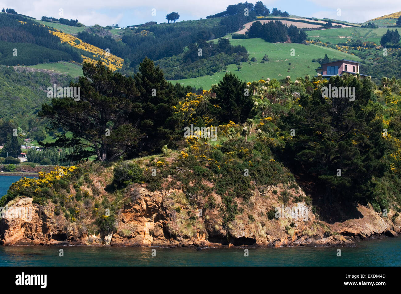 Dunedin harbour hi-res stock photography and images - Alamy