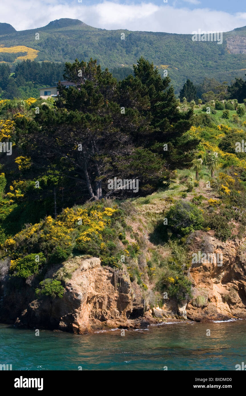 Dunedin harbour hi-res stock photography and images - Alamy