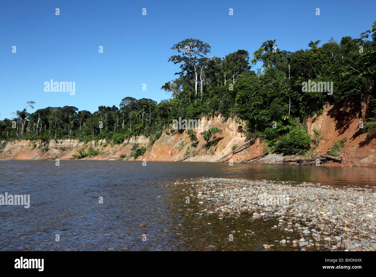 Emergent layer amazon rainforest hi-res stock photography and images ...