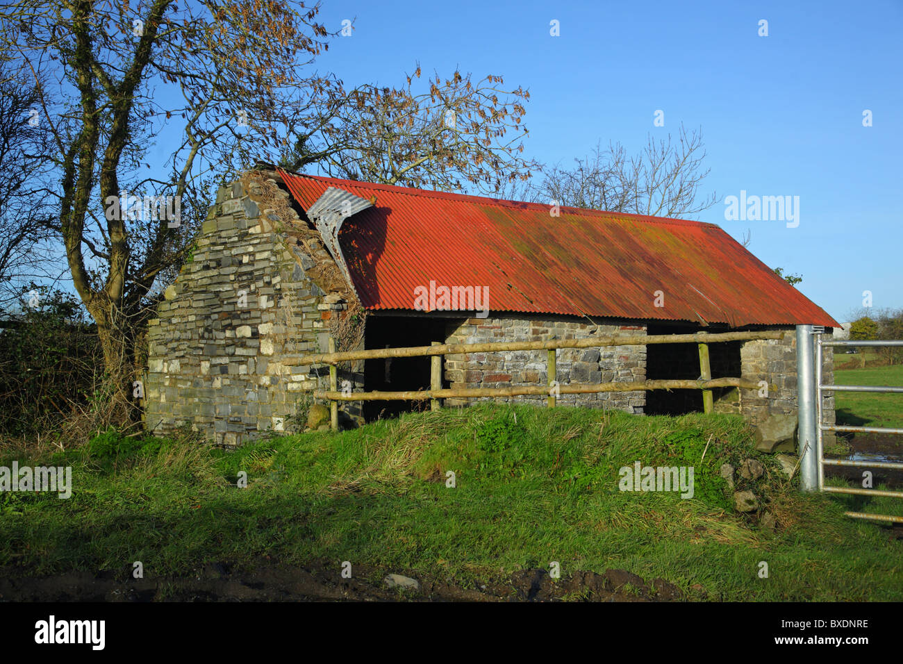 Old Shed rural North County Dublin Ireland Stock Photo - Alamy