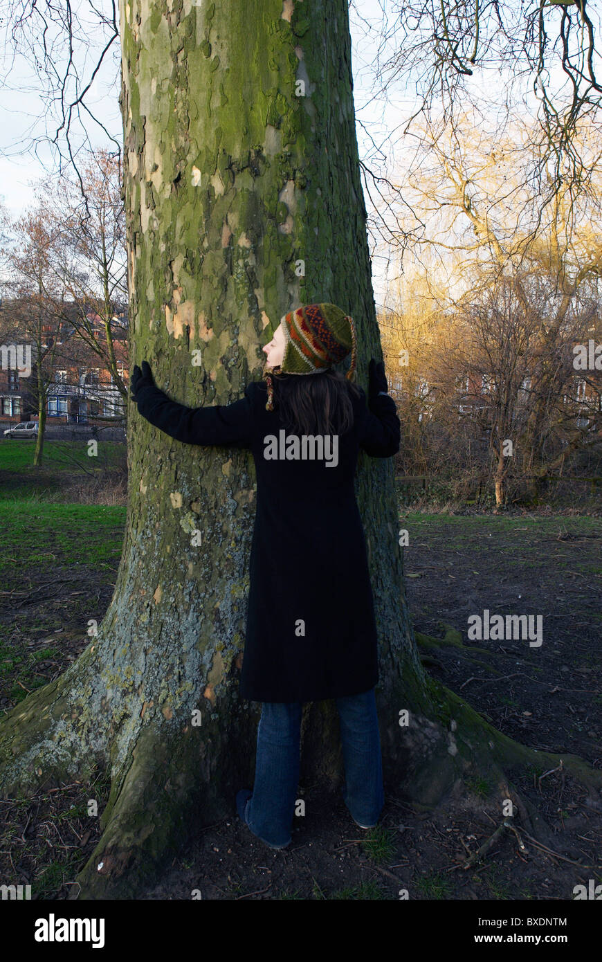 Woman hugging a tree Stock Photo - Alamy