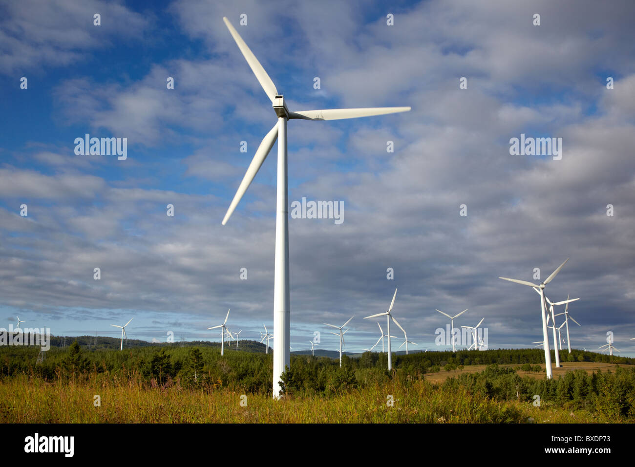 Eole, Cap-Chat, wind turbines, Gaspesie, Quebec, Canada Stock Photo - Alamy