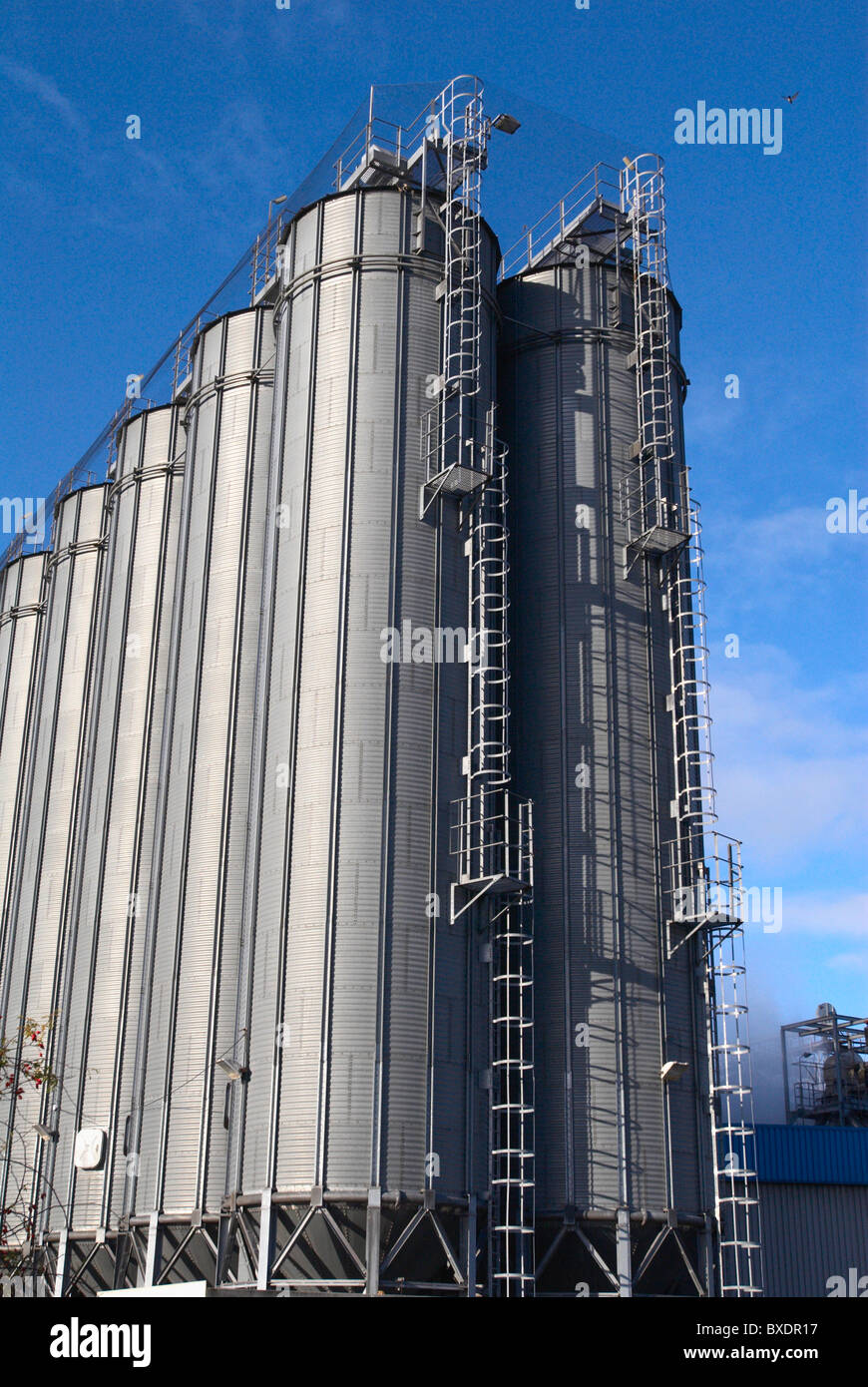 Malting production factory Witham UK Stock Photo - Alamy