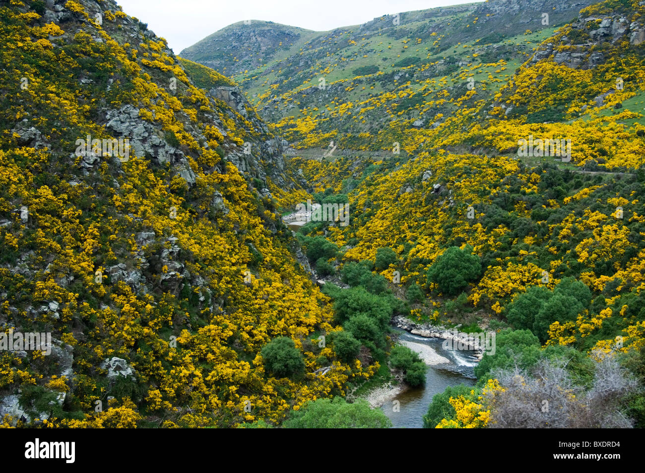 Taieri Gorge railway, Central Otago, New Zealand Stock Photo - Alamy