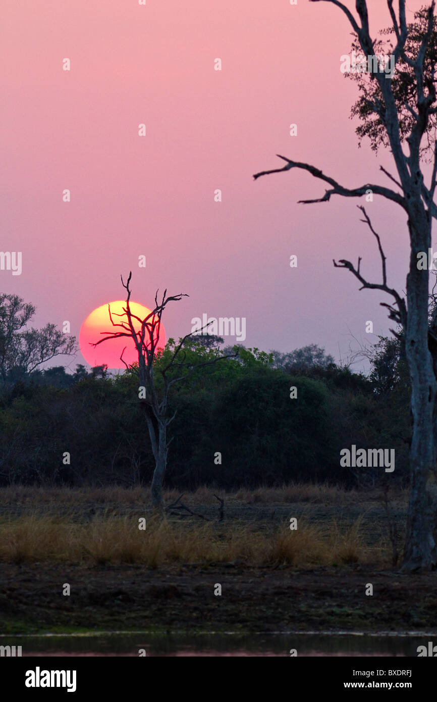 Sunset in South Luangwa National Park, Zambia, Africa Stock Photo - Alamy