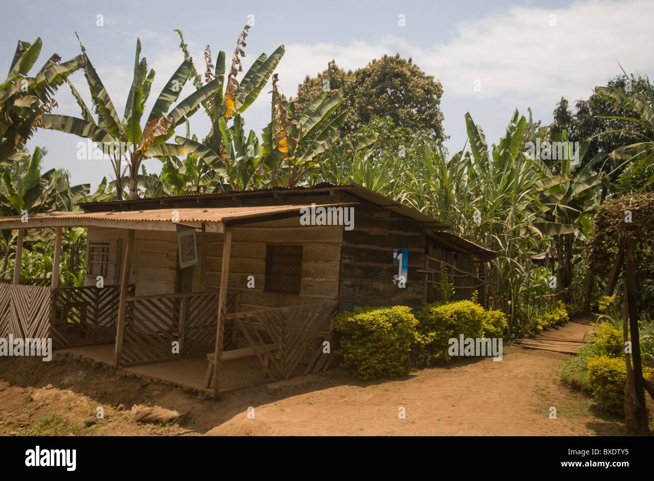 Native to northern africa hi-res stock photography and images - Alamy