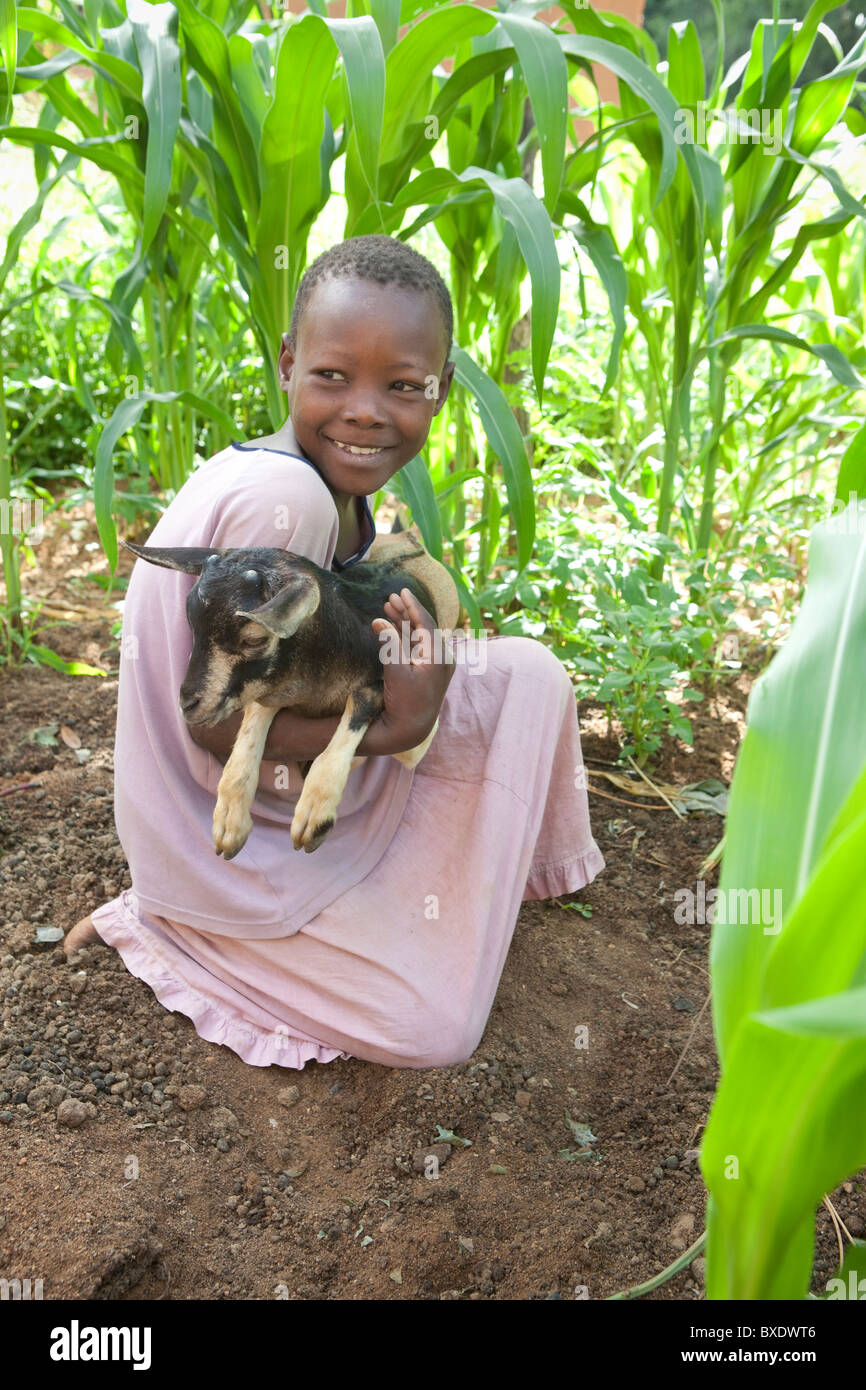 Carrying a goat hi-res stock photography and images - Alamy