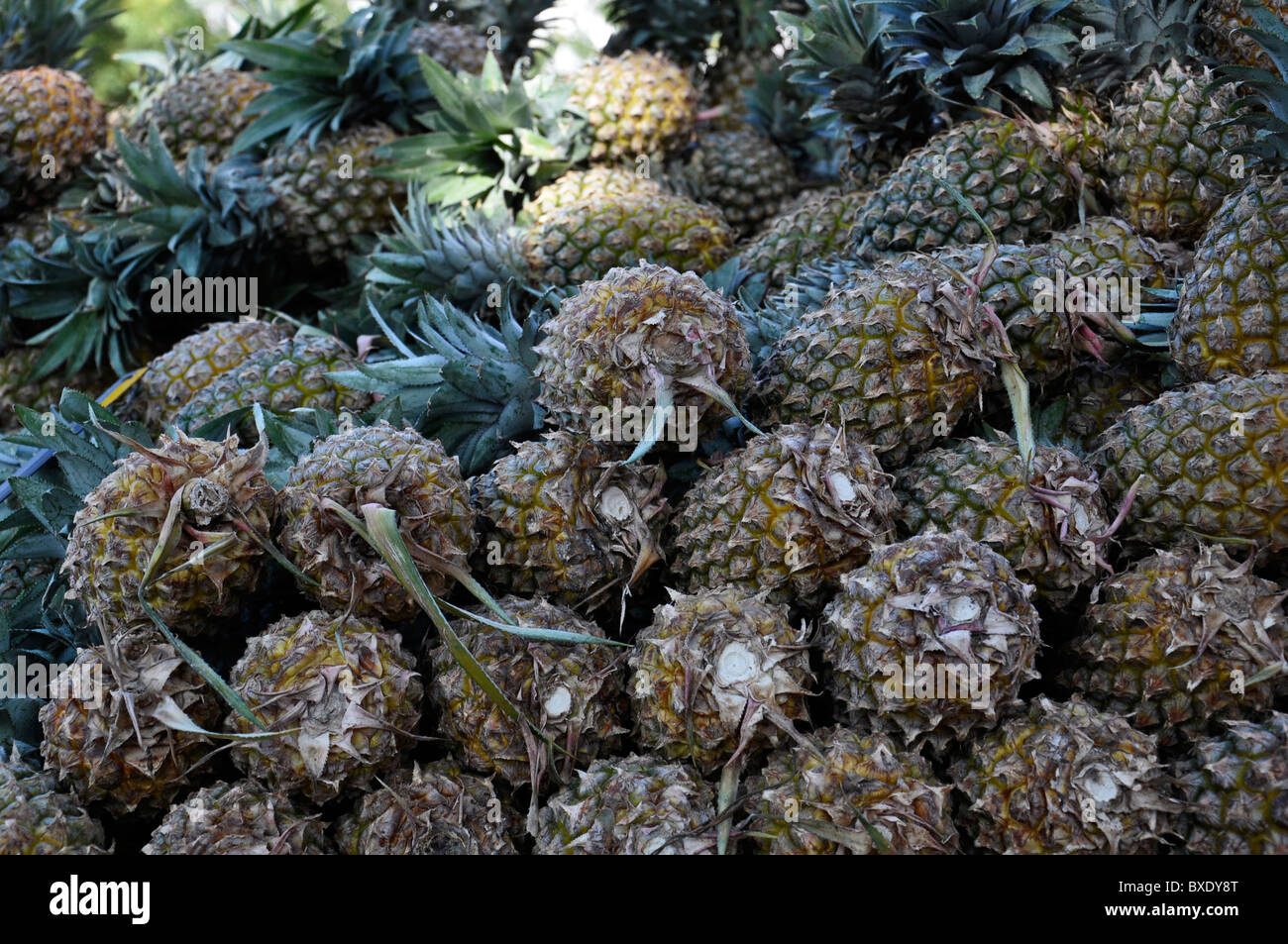A stack of Pineapples Stock Photo - Alamy