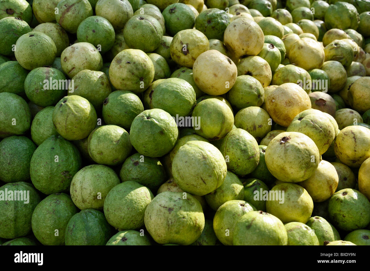 Food fruit guavas hi-res stock photography and images - Alamy